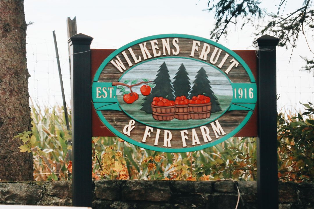 Visita à fazenda Wilkens Fruit & Fir Farm em Yorktown Heights Upstate ...